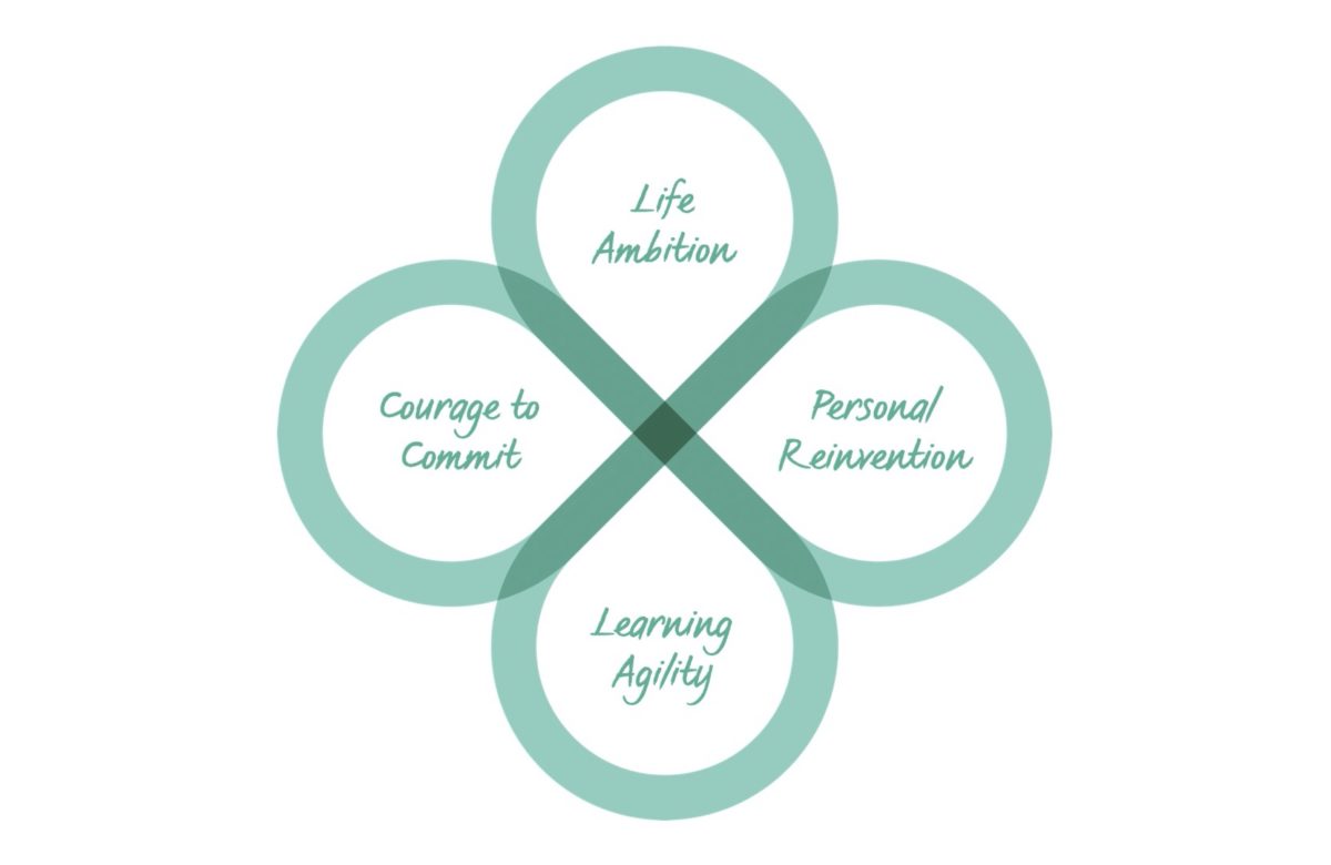 How Does The Four-Leaf Clover Work for You? - The Personal Business Plan